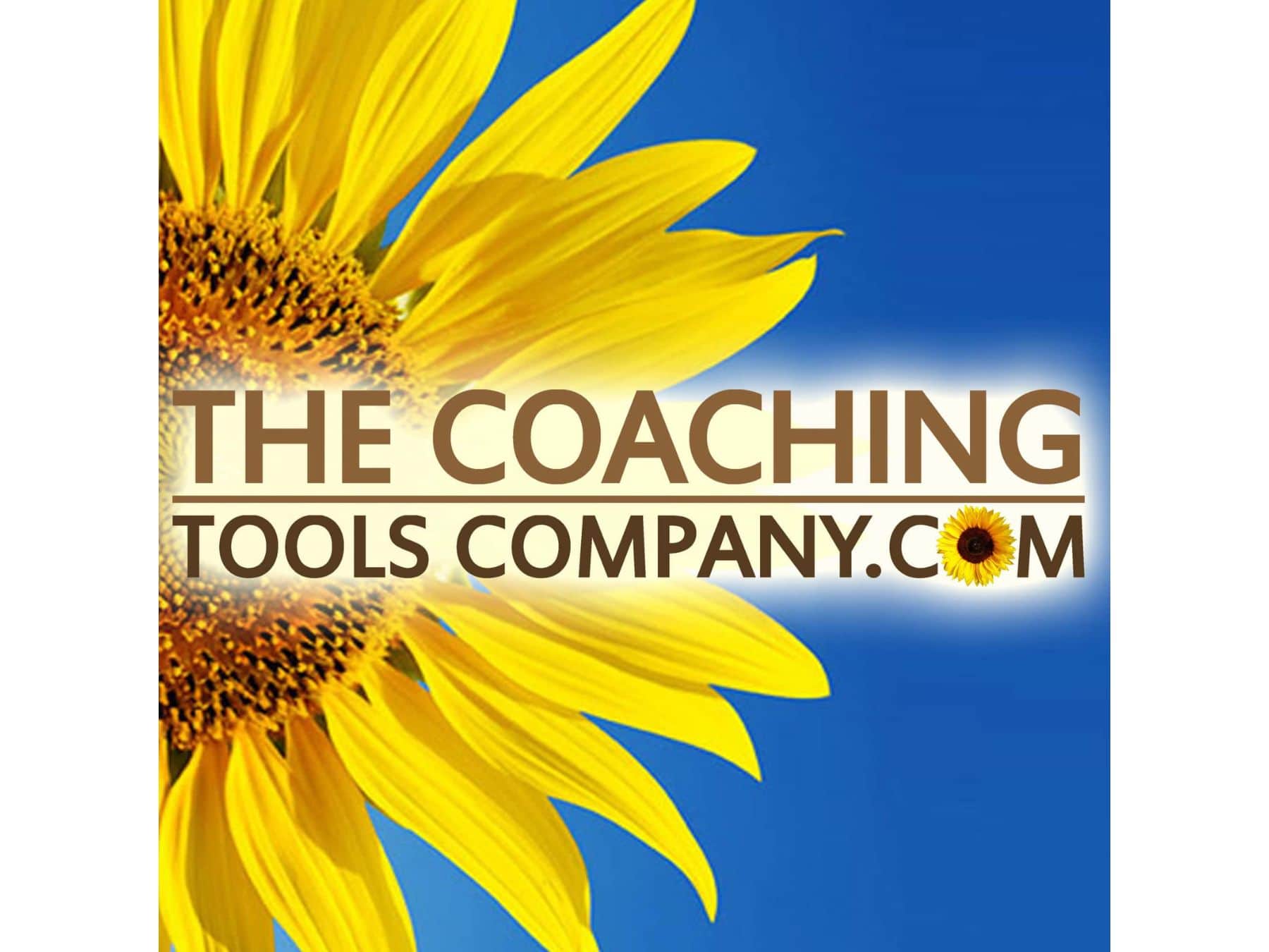 The Coaching Tools Company | ICF Business Solutions Partner